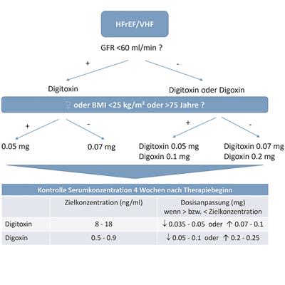Digoxin oder Digitoxin – richtig wählen und dosieren