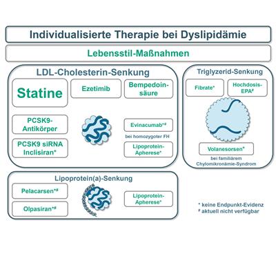 Individualisierte Strategien in der Lipidtherapie