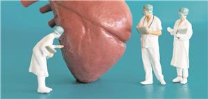 Die neuen ESC-Endokarditisleitlinien